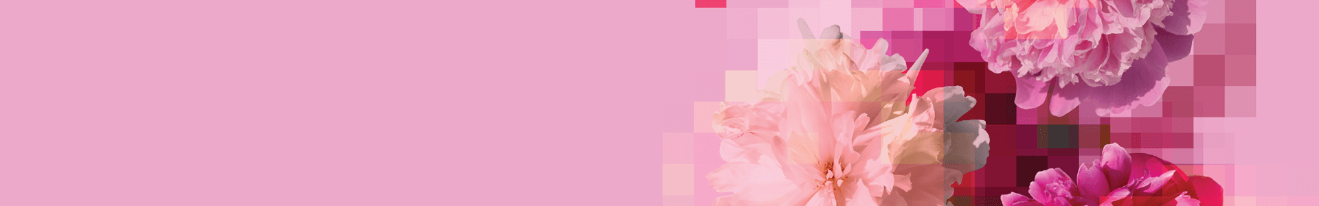 What Are Bitmap Images? A Designer’s Guide to Image File Formats